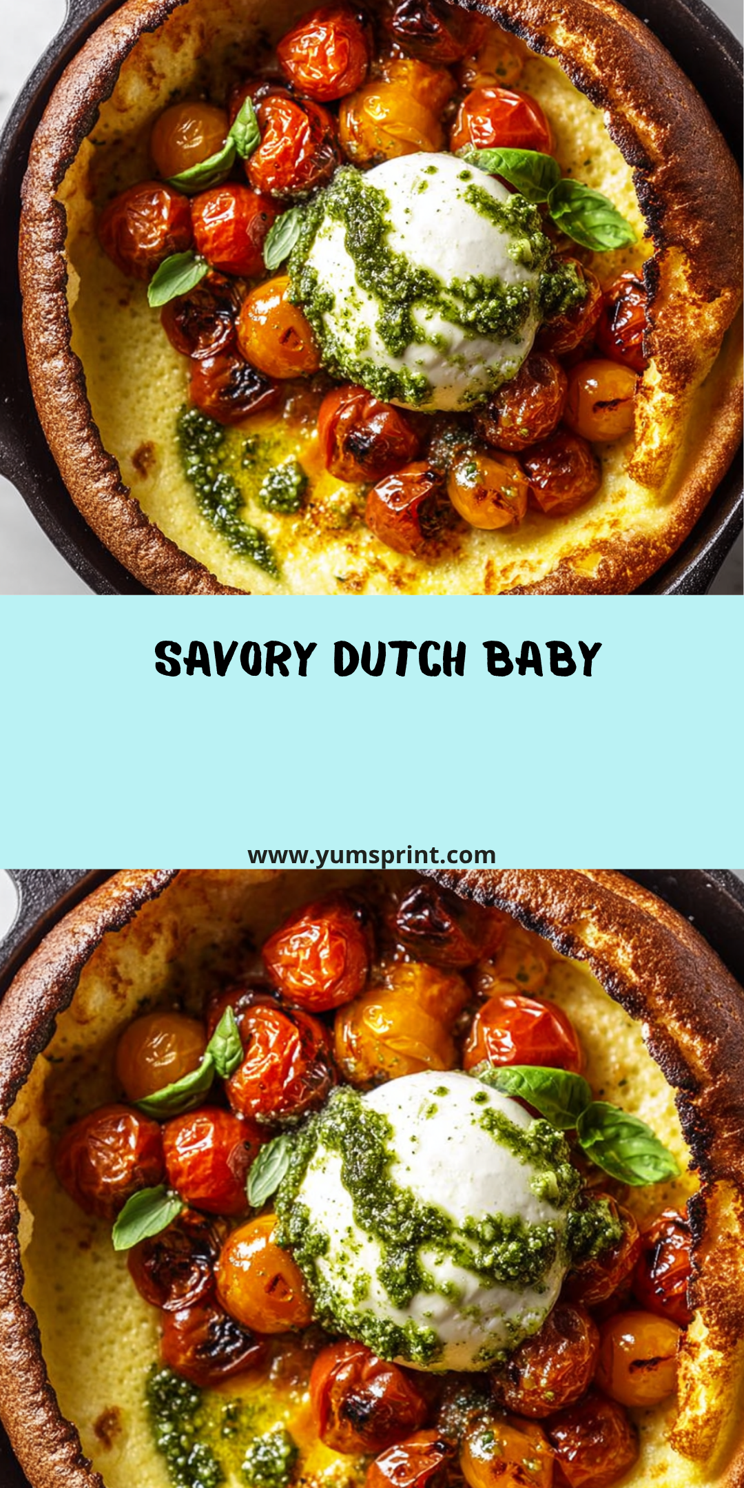 Home » Recipes » Dinner » Blistered Tomato & Burrata Savory Dutch Baby ...